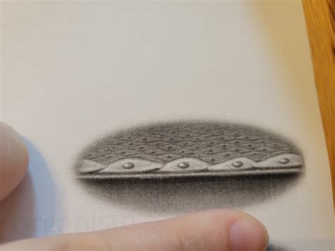 Chapter 3 Cellular Form And Functionall Flashcards Quizlet