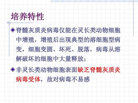 30 肠道病毒word文档在线阅读与下载无忧文档