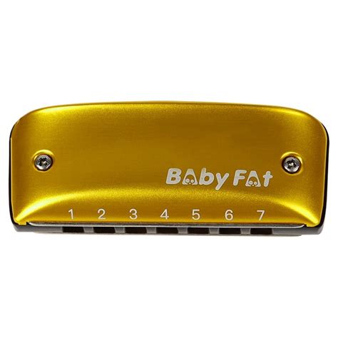 Blues Harmonica 7 Holes A Key Beginner Diatonic Ha Grandado