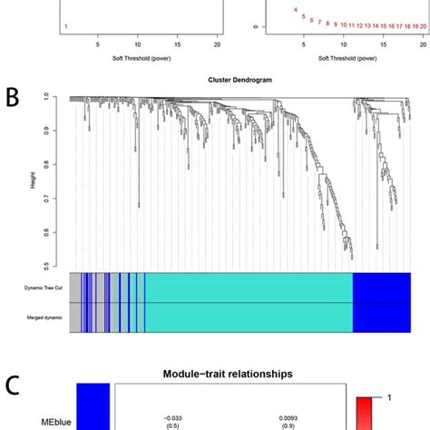 Weighted Correlation Network Analysis To Identify The Nk Cell Markers