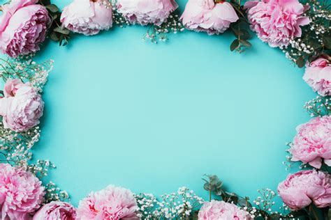 꽃 무늬 분홍색 모란 흰 석고 꽃 파란색 배경에 유칼립투스로 만든 프레임 플랫 레이 상단 보기 공간을 복사합니다 결혼식 생일