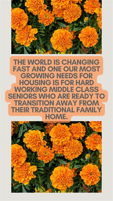 Kelsy Yeargain On Linkedin Marigoldcommunityhousing