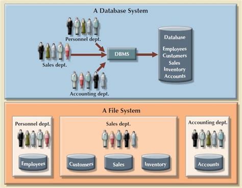Chapter Database Systems Flashcards Quizlet