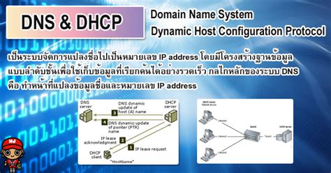 Dns And Dhcp Server By Nj Network