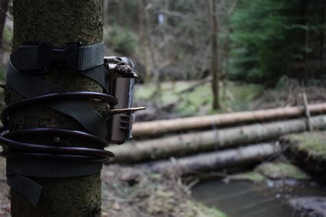 Securing Your Camera Trap Naturespy