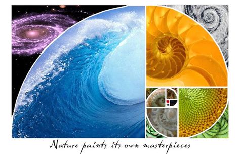 Fibonacci By Mmmkayla On DeviantArt Fibonacci Sequence Art Fibonacci Fibonacci Sequence