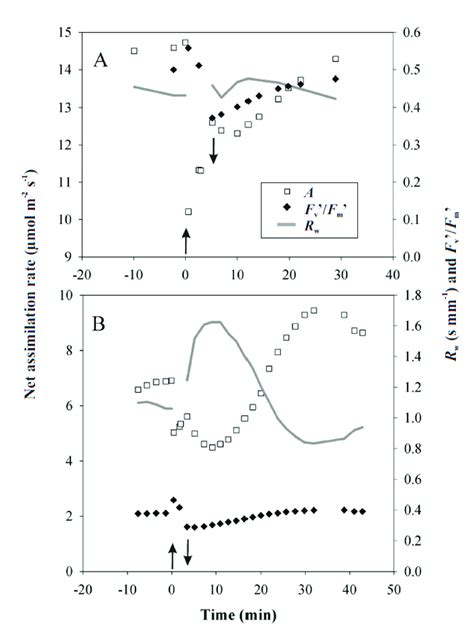 Representative Responses Of Leaf Co2 Uptake A Open Squares Download Scientific Diagram