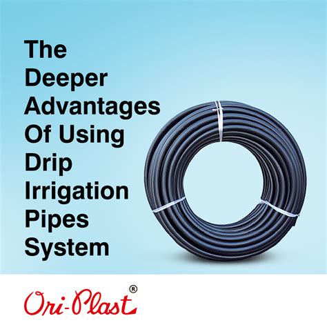 Top 7 Advantages Of Drip Irrigation And Its Water And Energy Benefits