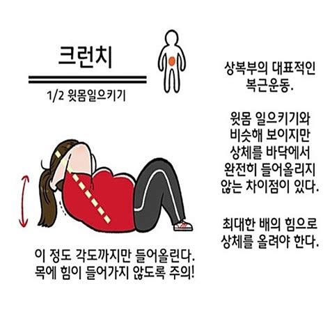 상복부 복근운동 크런치 운동 크런치 자세 네이버 블로그