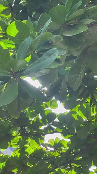 Video Drprasanna Sivagami On Linkedin Monday Positivevibes