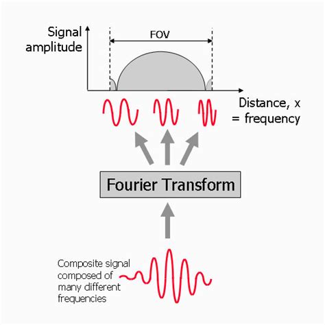 T2 Weighted Spin Echo T1 And T2 Relaxation Curves For A T2 Weighted Download Scientific