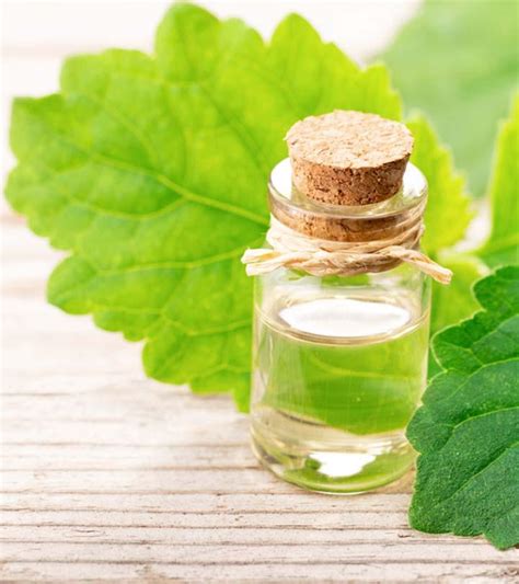 What Is Patchouli Essential Oil Benefits Uses And Side Effects
