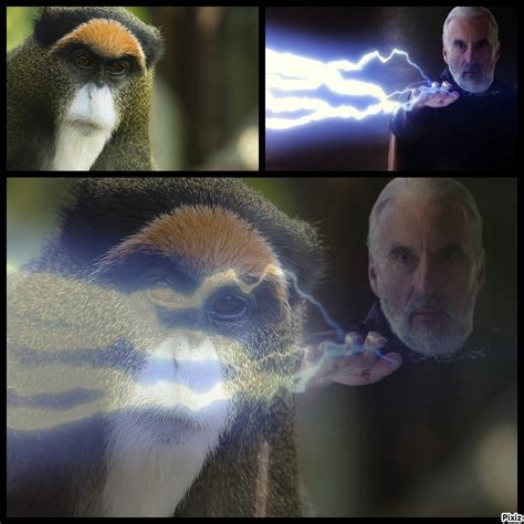 Create Meme Count Dooku Star Wars Memes Count Dooku  Count Dooku
