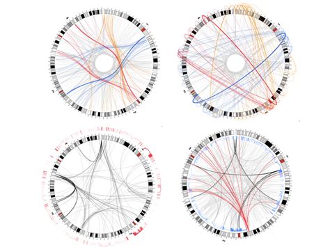 Applications Of Circos Circos Circular Genome Data Visualization