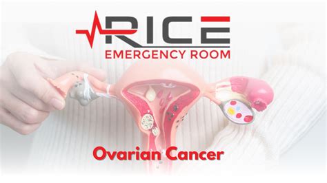 Persistent Low Grade Fever Get Urgent Care