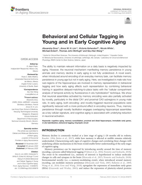 Pdf Behavioral And Cellular Tagging In Young And In Early Cognitive Aging
