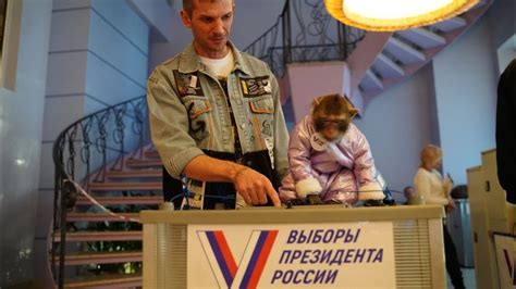 Мы с обезьянкой сходили на Выборы президента России Youtube
