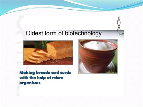 Biotechnology And Its Types Pptx