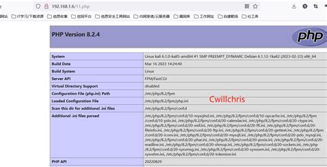 Kali Php无法执行直接下载或显示php文件内容kali怎么查看php代码 Csdn博客
