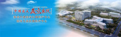 中国医科大学附属盛京医院 中国医科大学附属盛京医院
