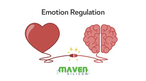 Emotion Regulation Maven Silicon