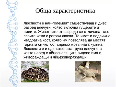 Многообразие на Разред Люспести Odp