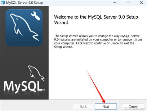 mysql在windows中安装与配置（9 0版详细教程） mysql9 0安装方法及使用步骤详解 csdn博客