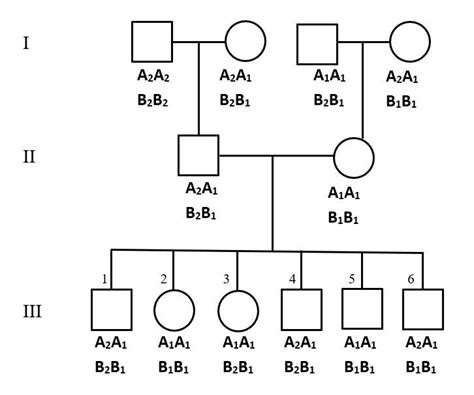 Determine The Genetic Distance Between The A And B