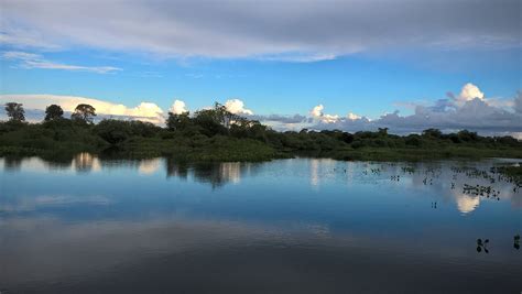 Pantanal Wilderness All You Should Know Before Going 2026 With Reviews