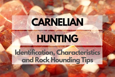 Carnelian Hunting Identification Characteristics And Rock Hounding Tips Hounding Rocks