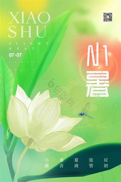 中国二十四节气小暑荷花模板 包图网