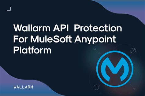 Elevating Enterprise Api Security With Wallarm For Mulesoft Anypoint Platform — Api Security
