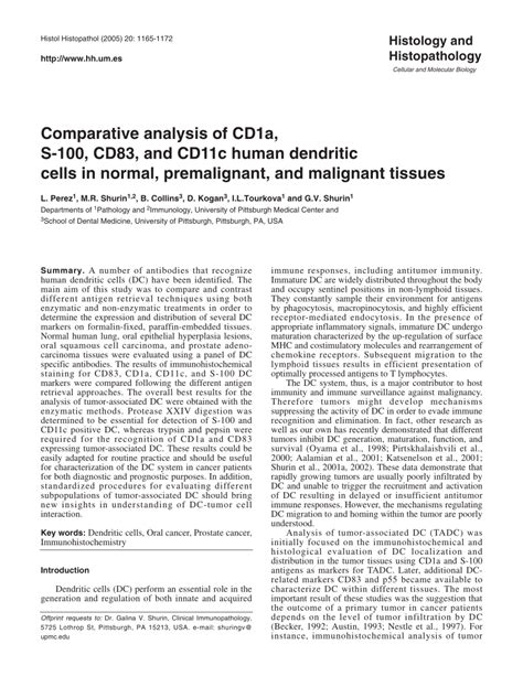 Pdf Comparative Analysis Of Cd1a S 100 Cd83 And Cd11c Human Dendritic Cells In Normal