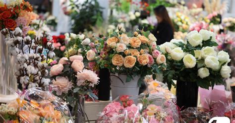 관세청 화훼류 불법수입 단속저가신고·원산지 둔갑 등 차단