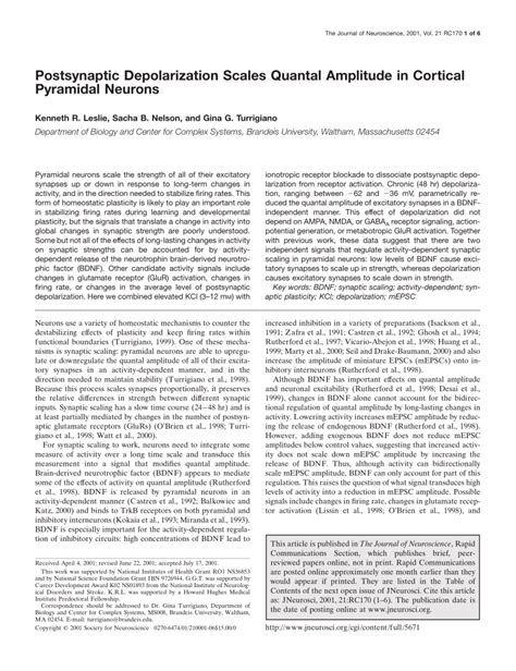 Pdf Postsynaptic Depolarization Scales Quantal Amplitude In Cortical