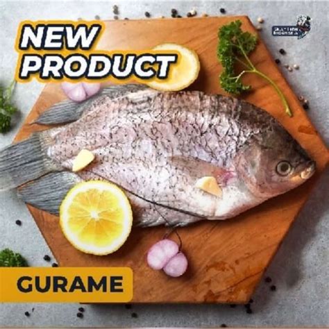 Jual Gurami Ikan Nila Ikan Mujaer Gurame Soang Ikan Mas Ikan Bawal