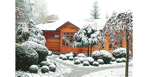 Тайните на зимния градински дизайн Български Фермер