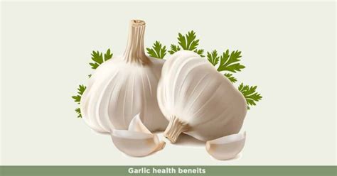 Garlic Allium Sativum Major Health And Nutritional Benefits