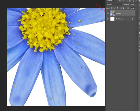 Уроци на фотошоп GIMP MS Office Scratch HTML CSS Работа с фотошоп манипулиране на снимки