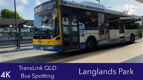 Translink Qld Bus Spotting Langlands Park Youtube