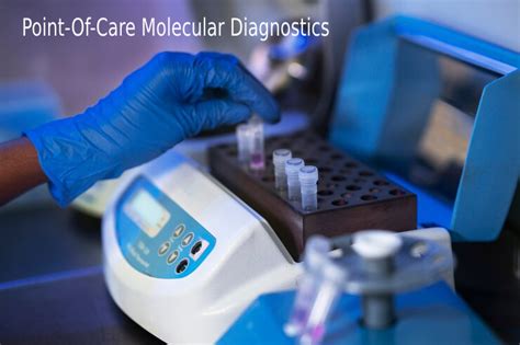 Point Of Care Molecular Diagnostics Market Revolutionizing Healthcare With Rapid Accurate
