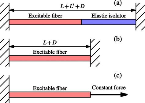 Transient And Periodic Spatiotemporal Structures In A Reaction