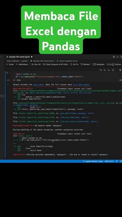 membaca file excel dengan pandas jupyternotebook excel python youtube