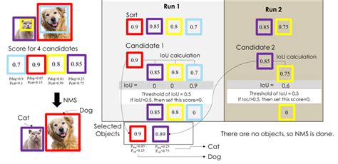 14 多类别例 · Nms