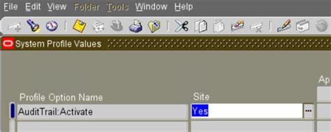 Understanding The Value And Functionality Of Oracle Ebs Audit Trail Blog Syntax