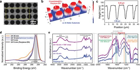 Uv Crosslinkable Parylene Dielectric Layer A Om Image Of 5 µm Scale