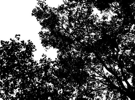 Gobo Archives 3d Rendernl