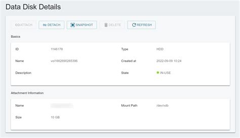Howto Initialize A Linux Data Disk Tws