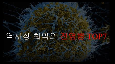 인류 역사상 최악의 전염병 Top7 Youtube