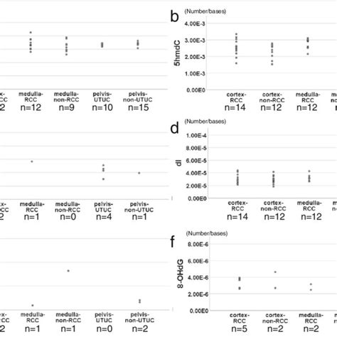 The Molar Ratio Of DNA Adducts In Each Group The Molar Ratios Download Scientific Diagram
